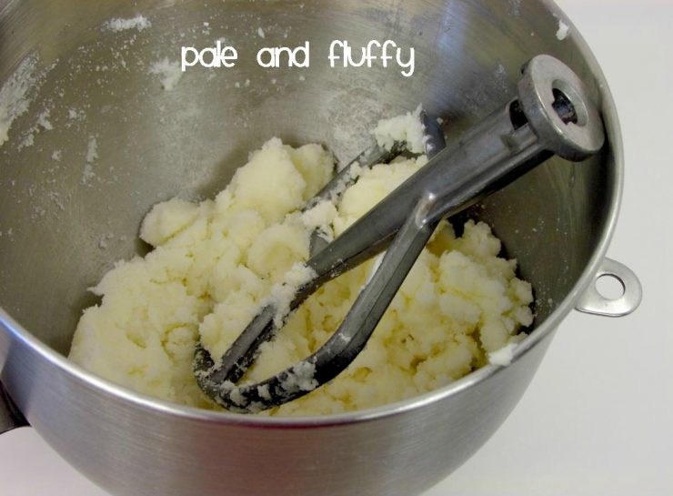 Sugar Cookie Recipe - The first recipe I used - The Bearfoot Baker