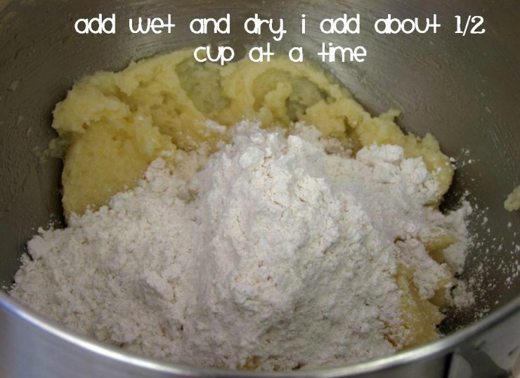 Sugar Cookie Recipe - The first recipe I used - The Bearfoot Baker