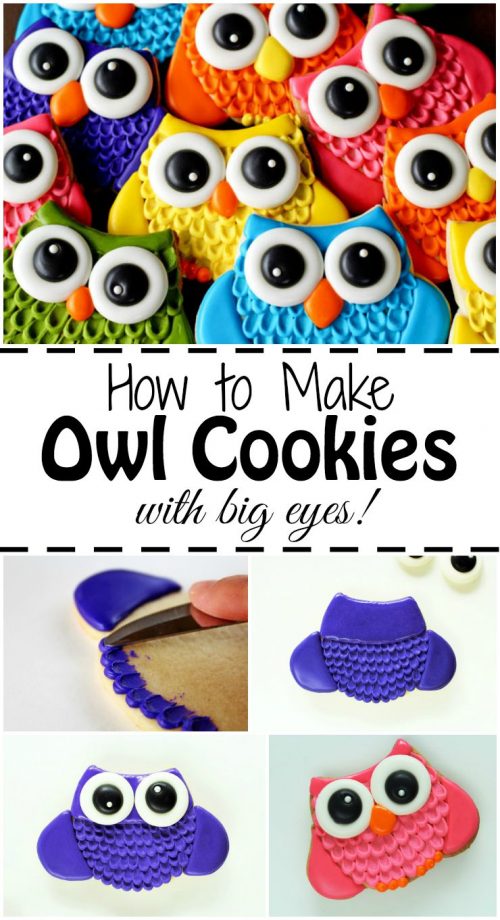 Owl Cookies with Big Eyes - The Bearfoot Baker