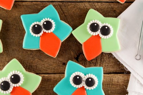 Easy Owl Cookies with a Star Cutter - The Bearfoot Baker