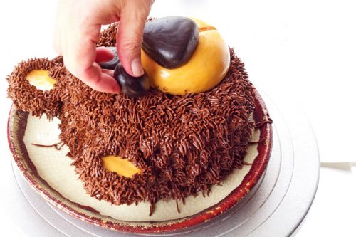 How to Make a Simple Bear Cake with Video - The Bearfoot Baker